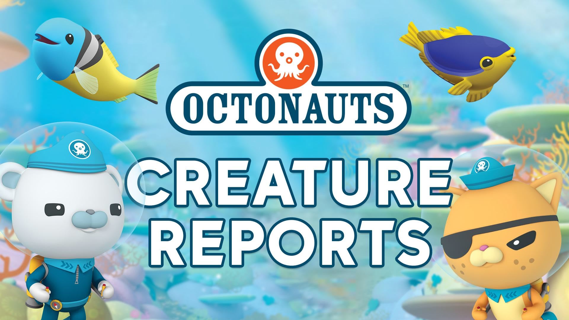 Watch Octonauts Creature Reports Season 1 Episode 93 Online - Stream ...