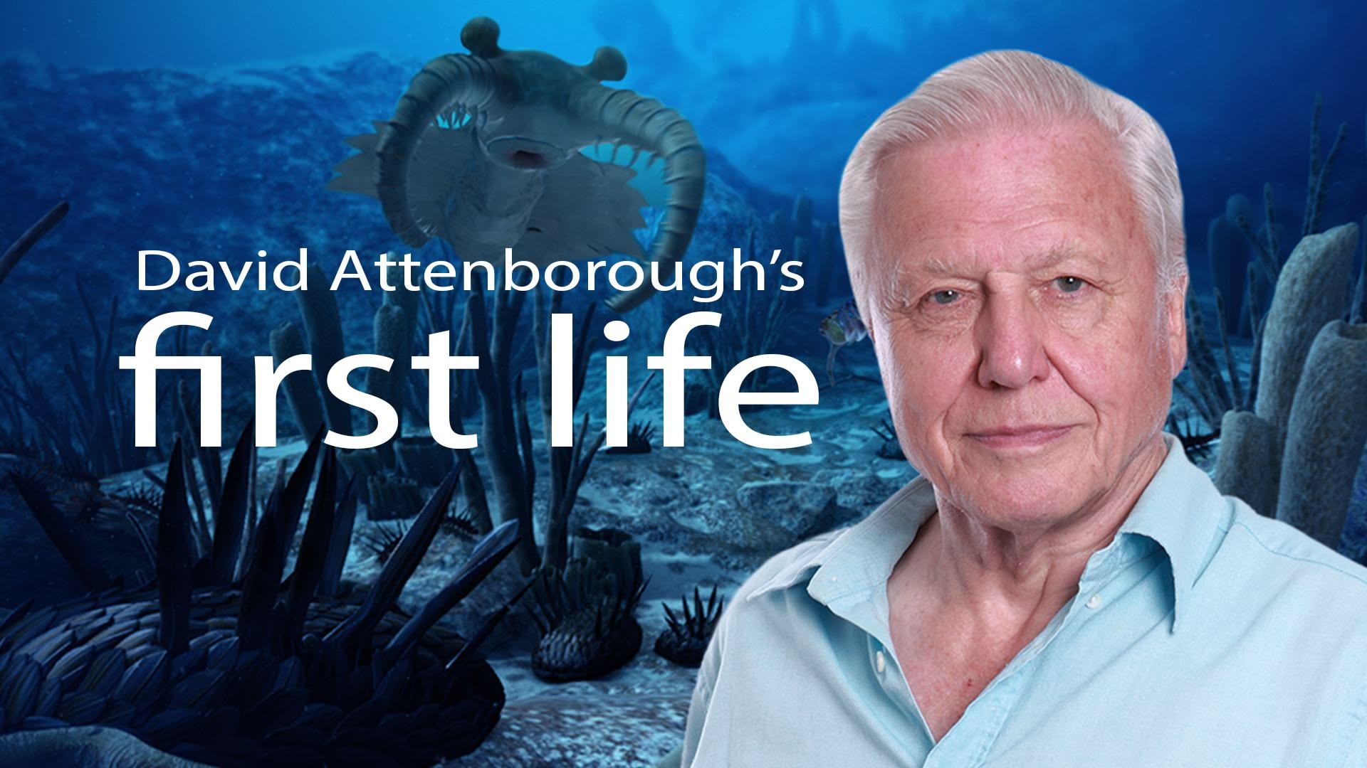 Watch David Attenborough's First Life Online - Stream Full Episodes